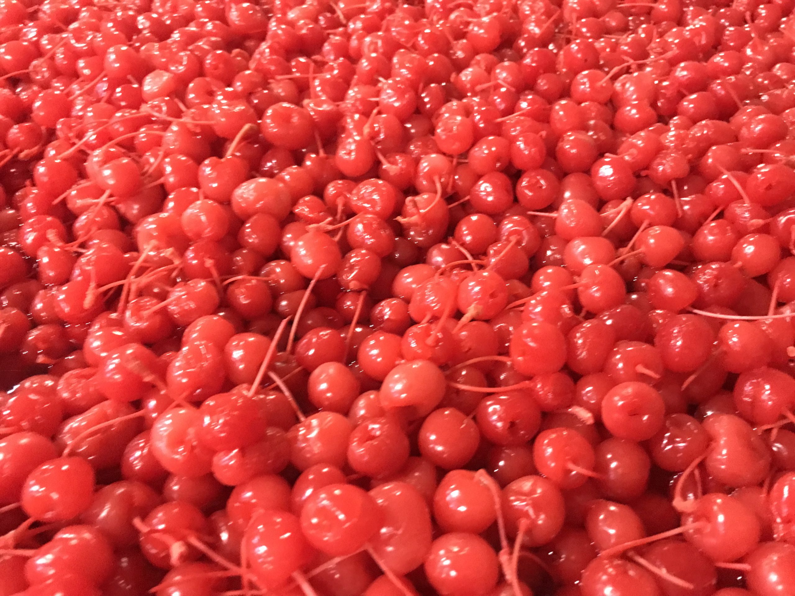 Conociendo la digitalización Agri - Pakit. Entrevista: Felipe Garrido ...